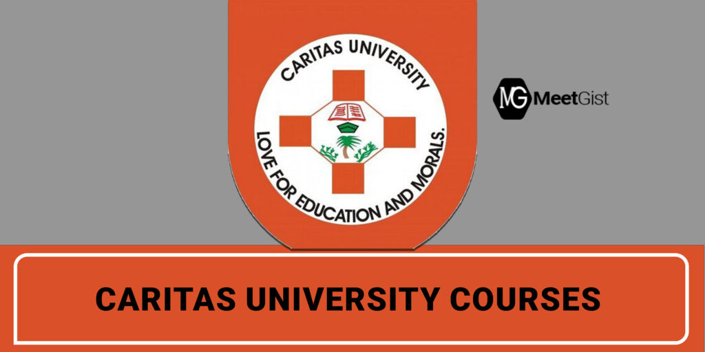 Complete List Of Caritas University Courses In 2023